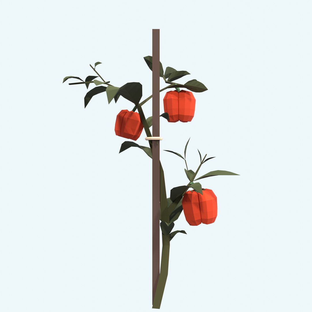 3D Low Poly Cartoon Pepper Plant - TurboSquid 1714202