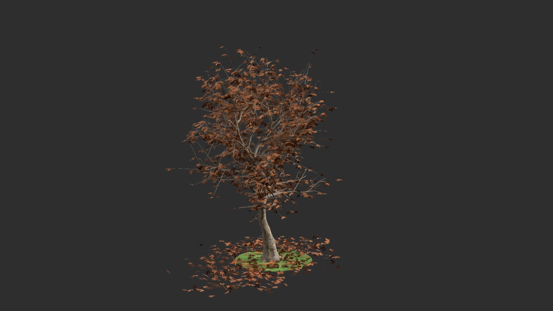 Chorisia Autumn Hight 3D Model - TurboSquid 1623768