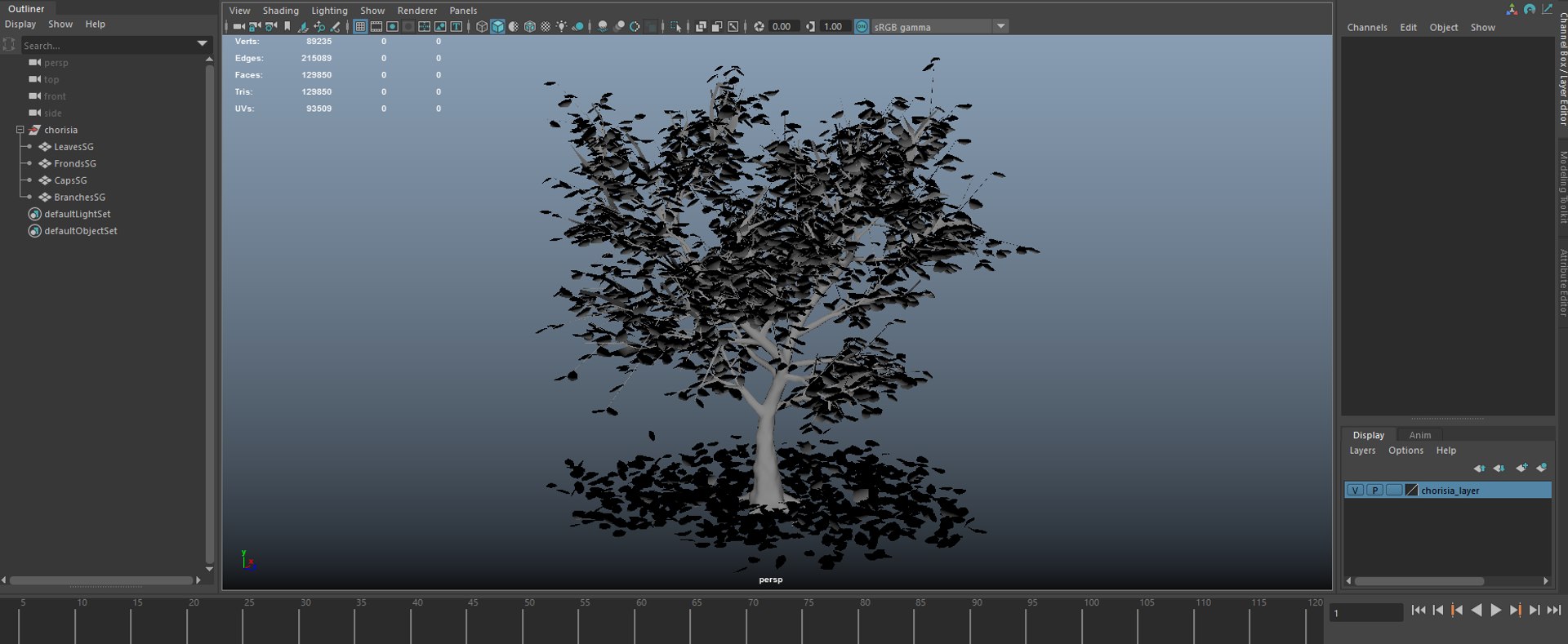 Chorisia Autumn Hight 3D Model - TurboSquid 1623768