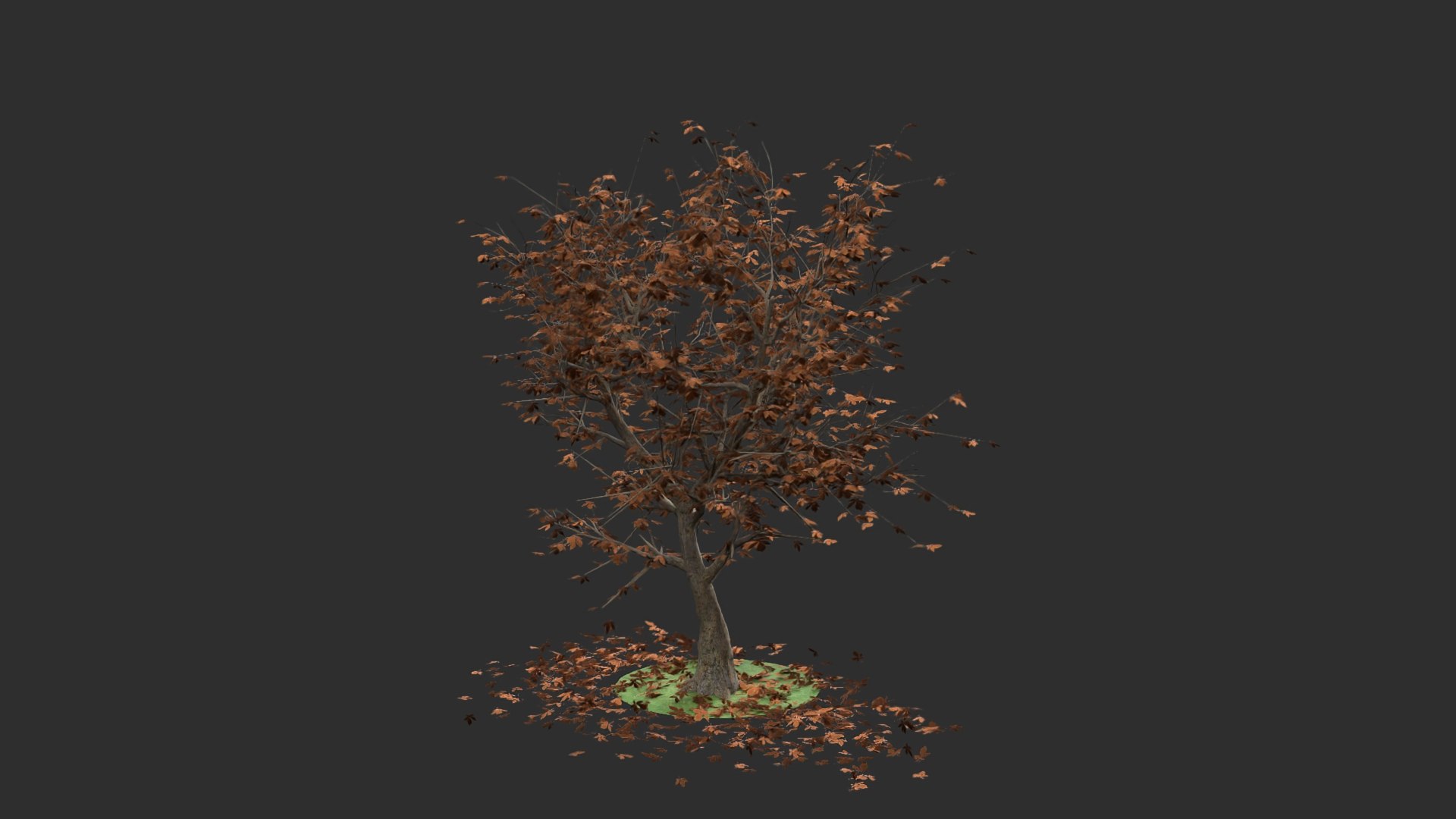 Chorisia Autumn Hight 3D Model - TurboSquid 1623768