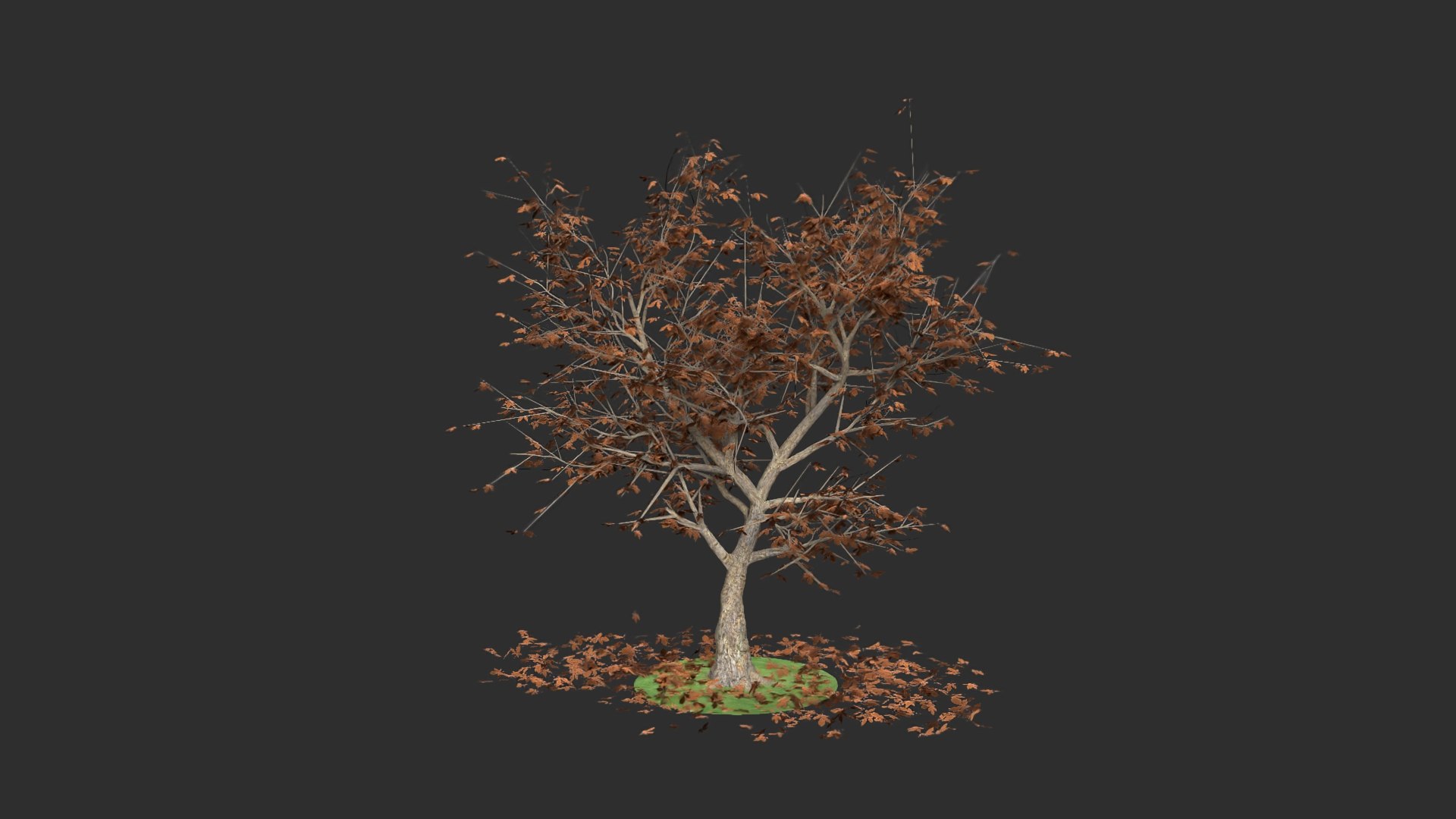 Chorisia Autumn Hight 3D Model - TurboSquid 1623768