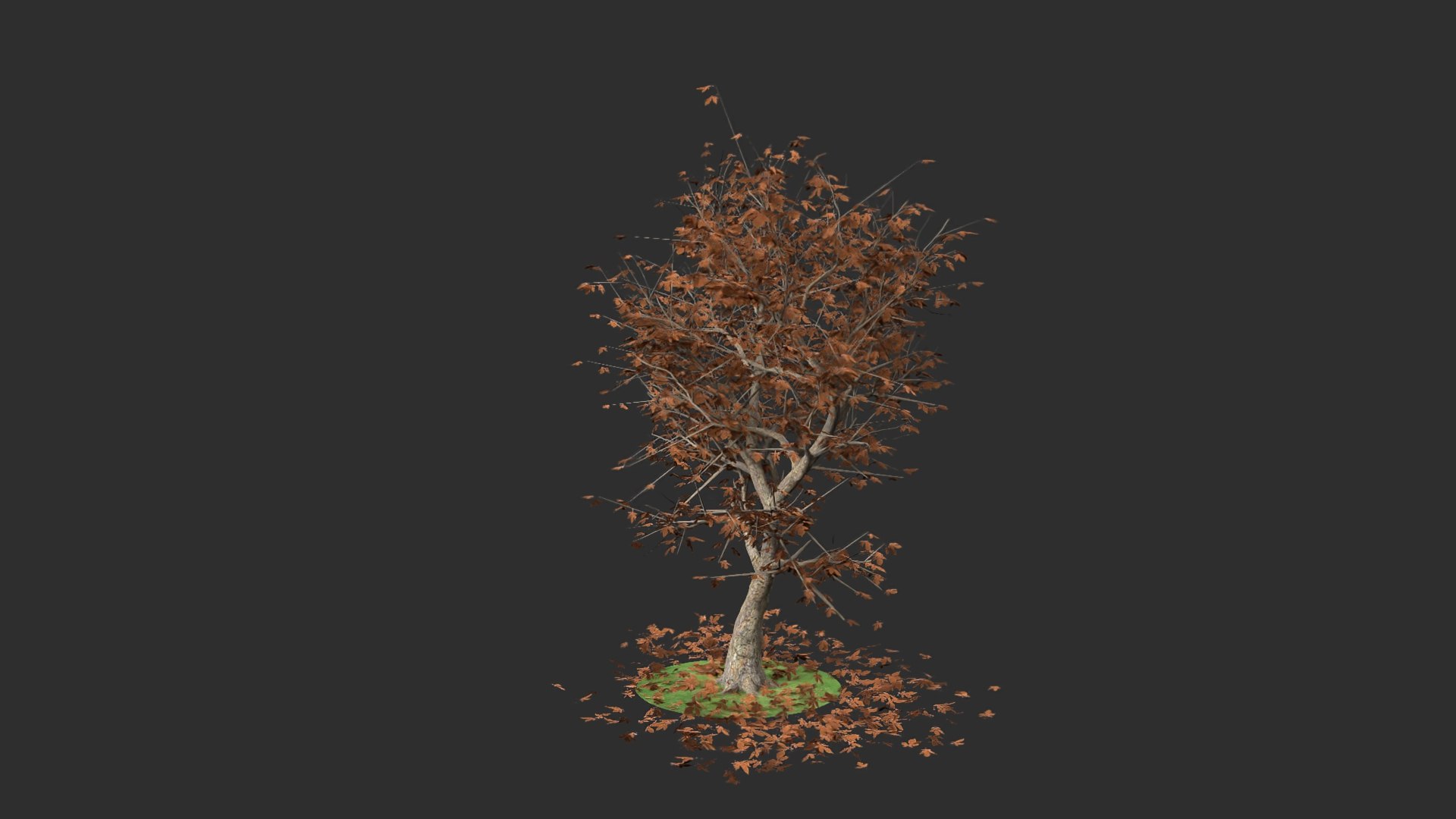 Chorisia Autumn Hight 3D Model - TurboSquid 1623768
