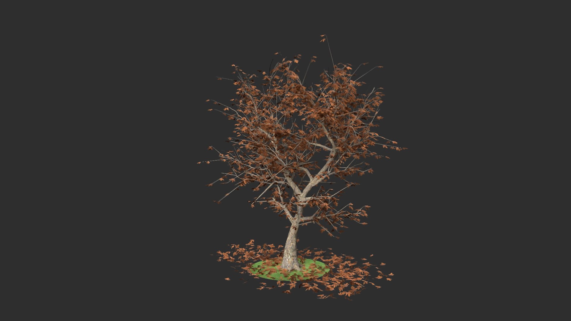 Chorisia Autumn Hight 3D Model - TurboSquid 1623768