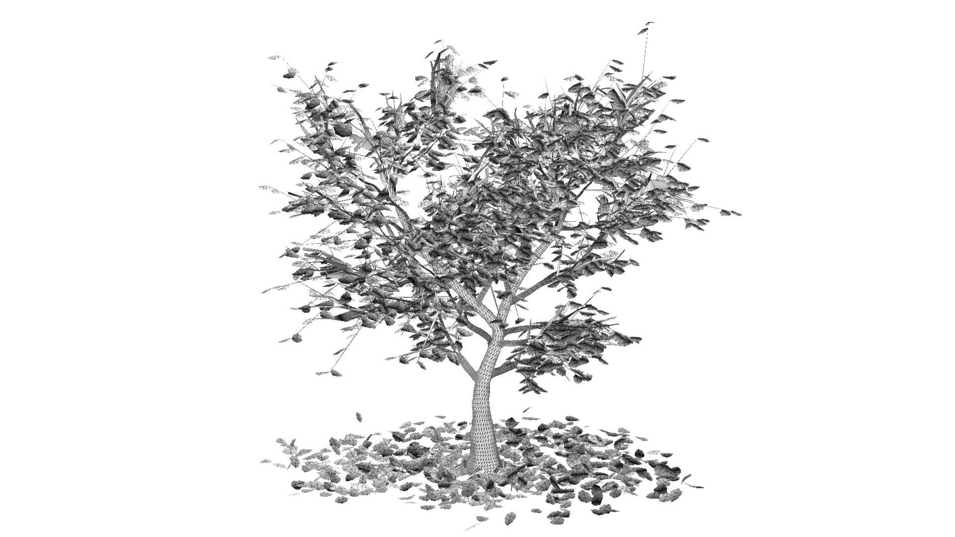 Chorisia Autumn Hight 3D Model - TurboSquid 1623768