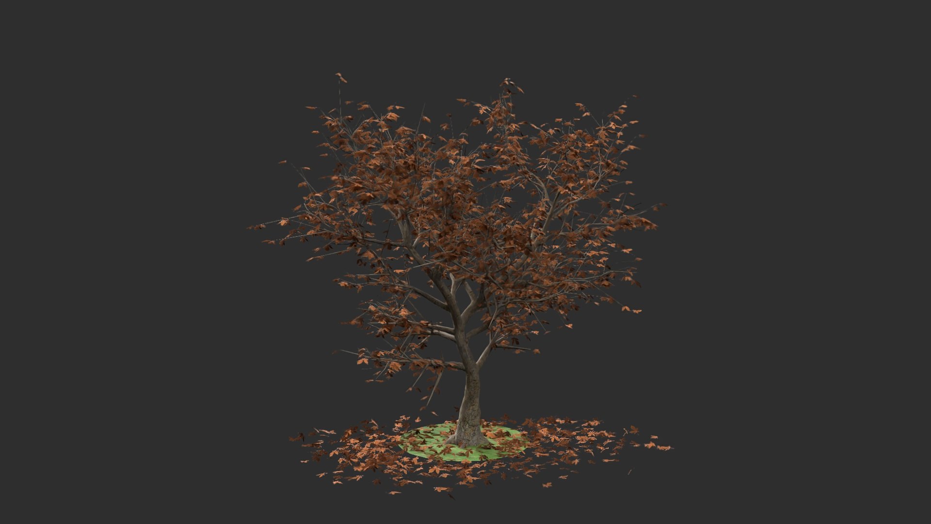 Chorisia Autumn Hight 3D Model - TurboSquid 1623768