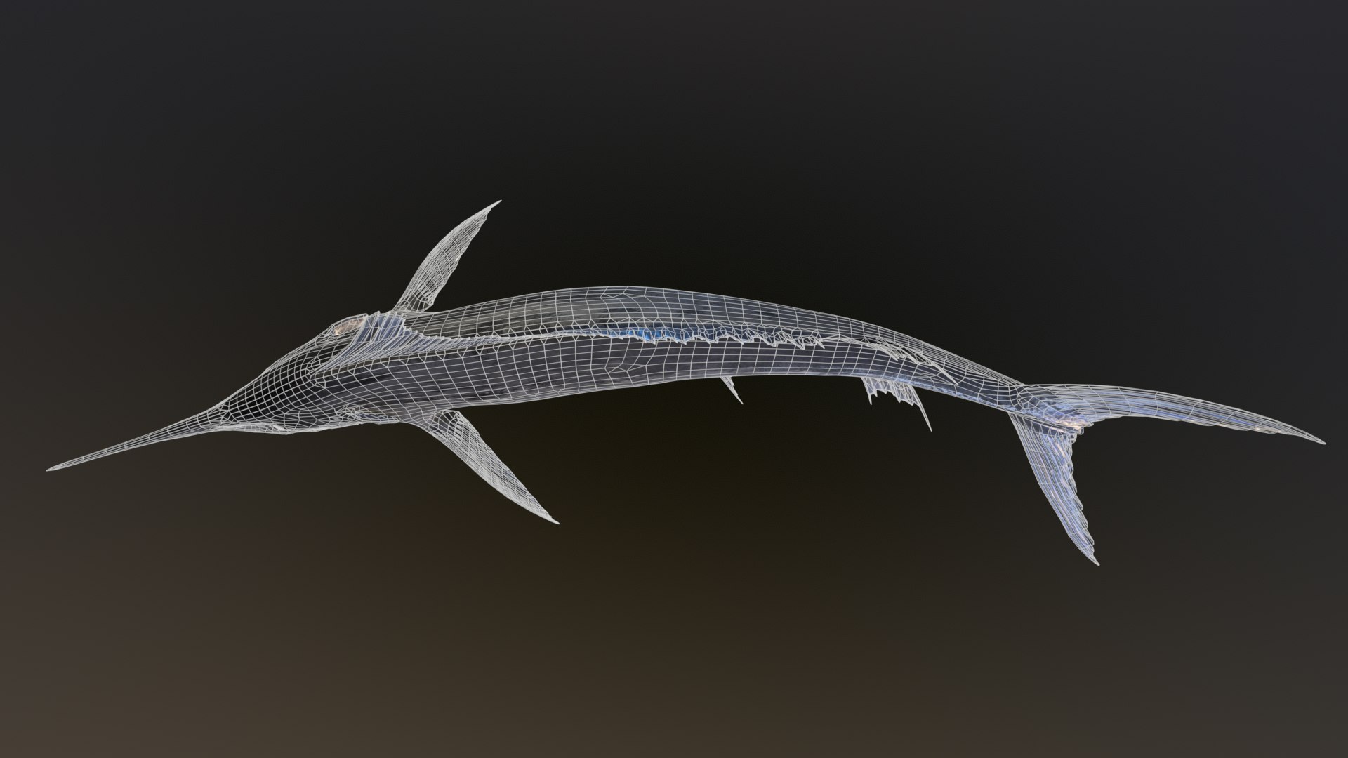 Black Marlin Animated Animations And Rig Fish Model - TurboSquid 2291711