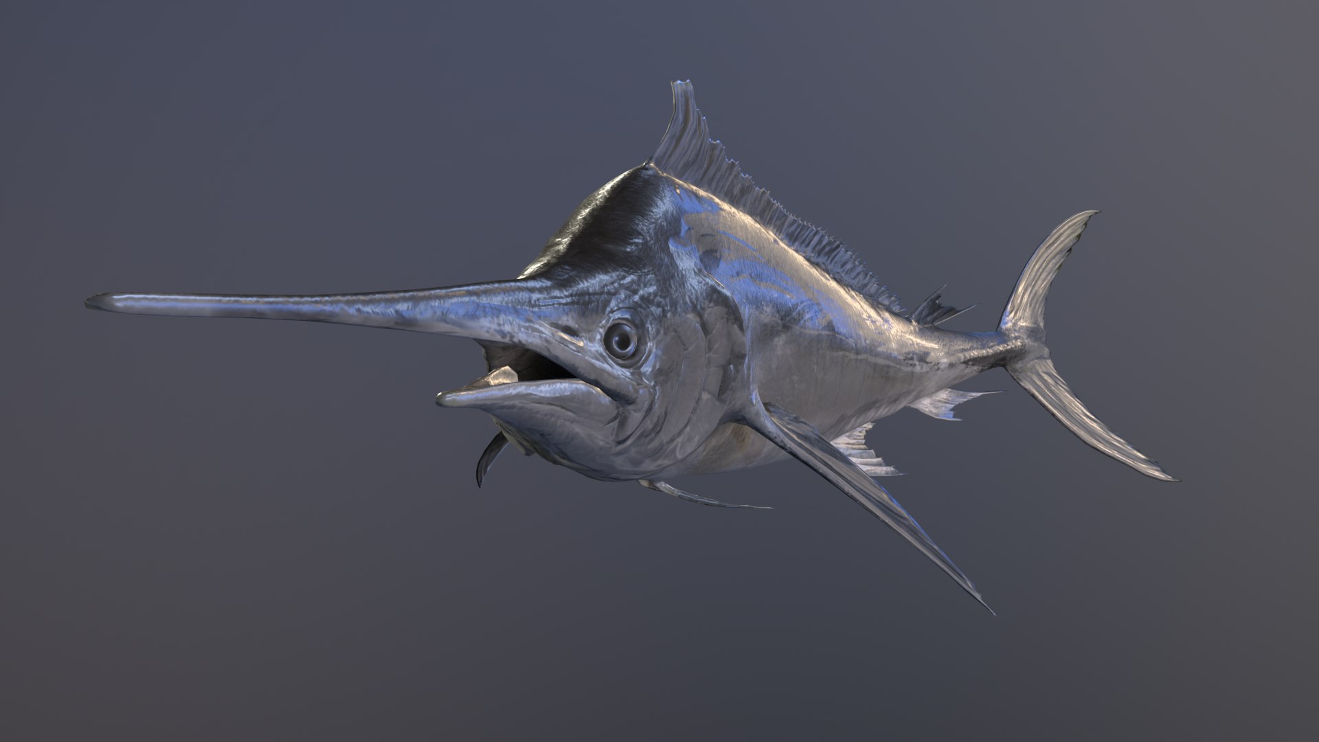 Black Marlin Animated Animations And Rig Fish Model - TurboSquid 2291711