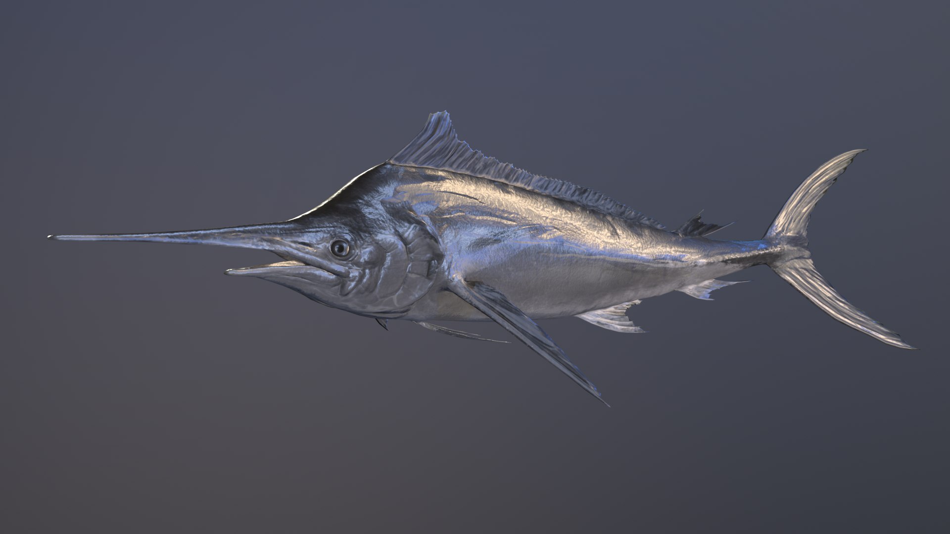 Black Marlin Animated Animations And Rig Fish Model - TurboSquid 2291711