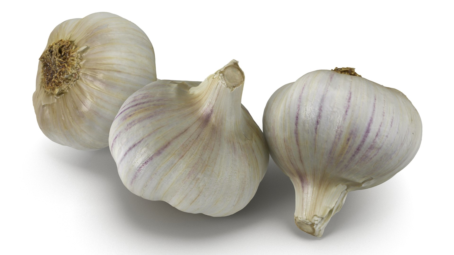 Garlic Bulb 3d Model
