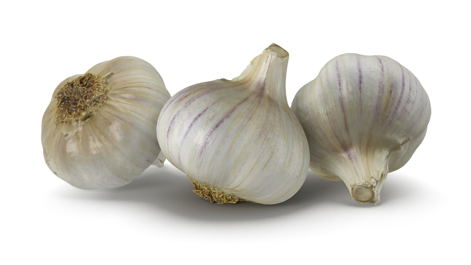 Garlic Bulb 3d Model