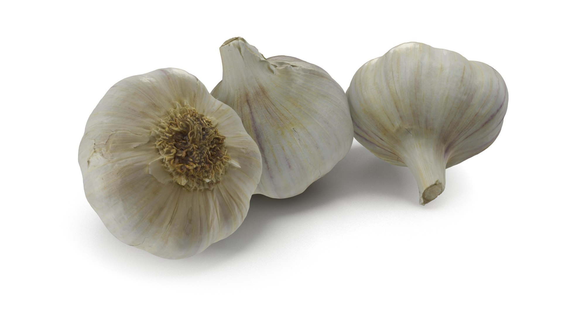 Garlic Bulb 3d Model