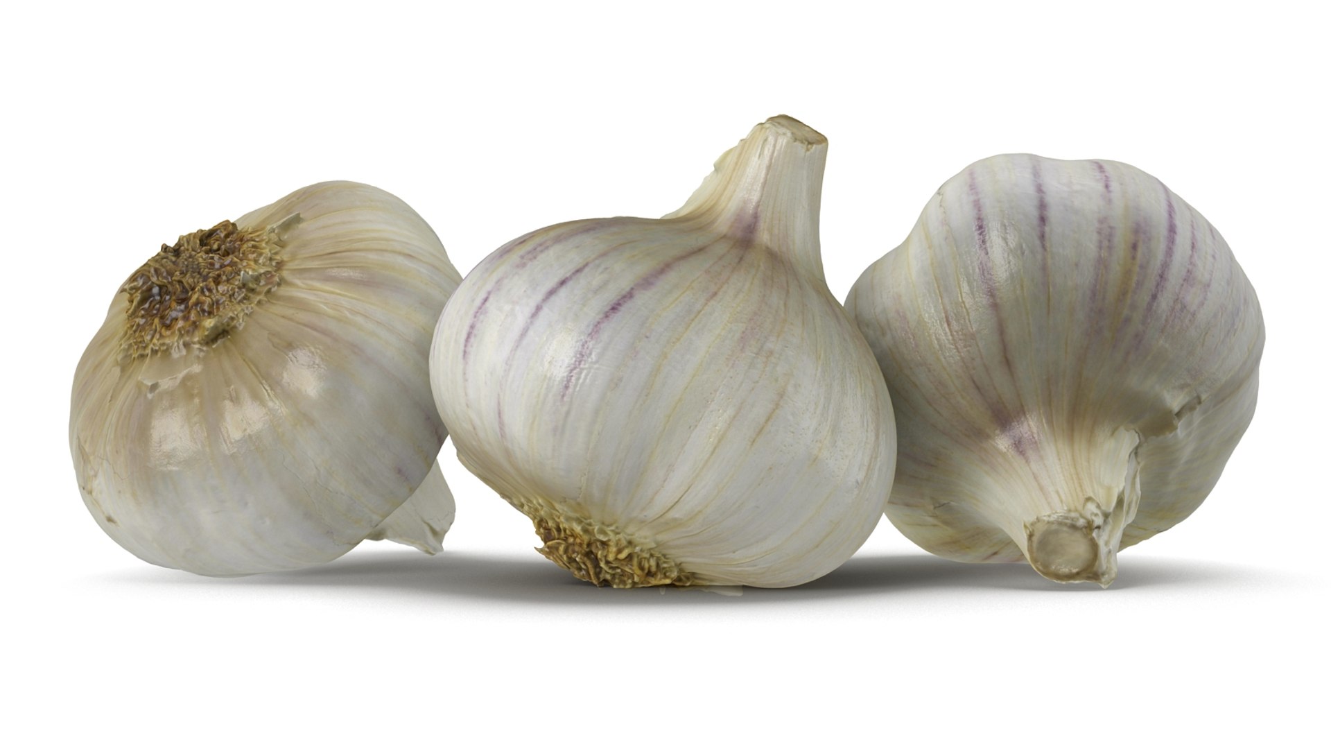 Garlic Bulb 3d Model