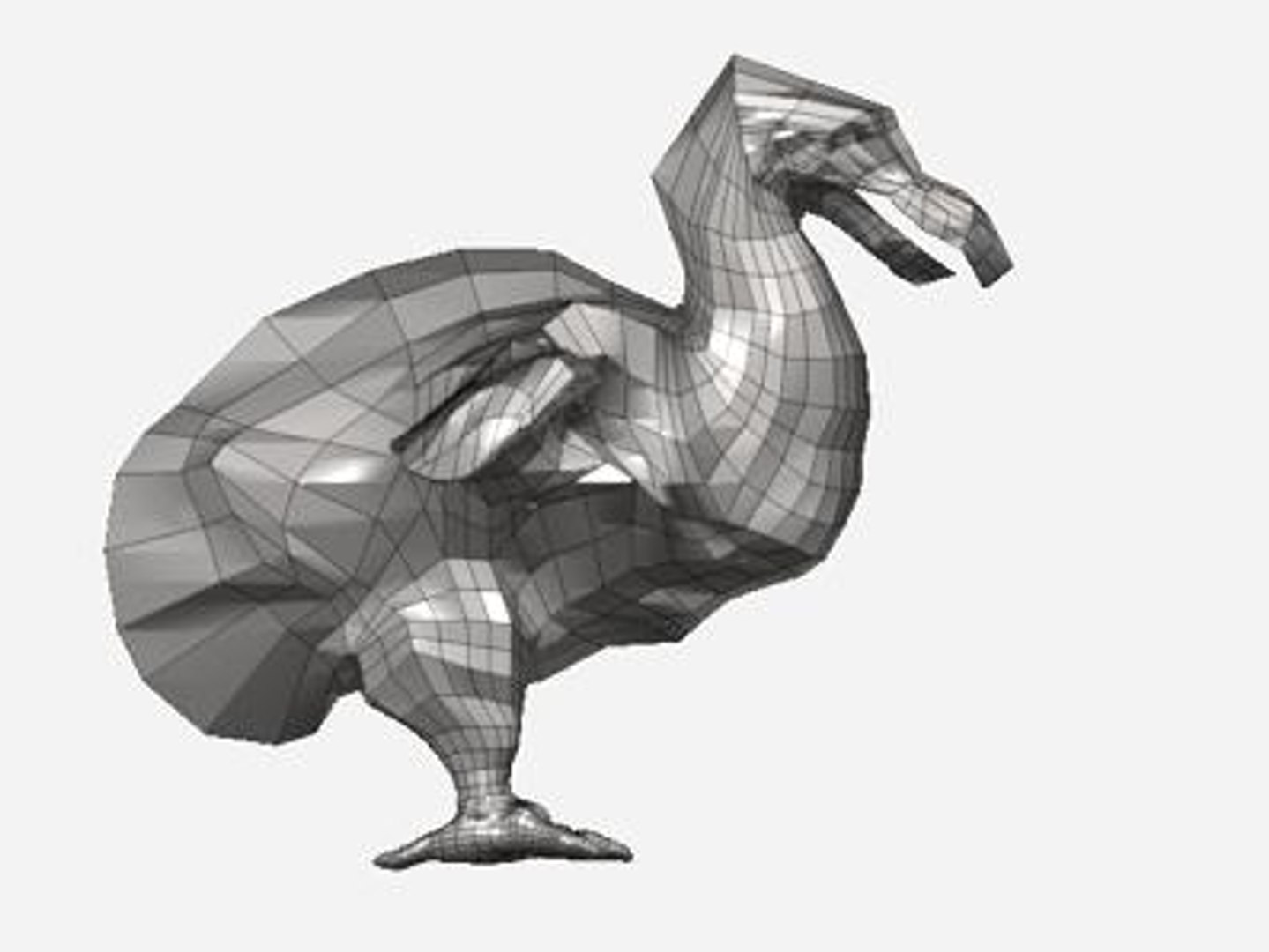Dodo Bird 3d Model