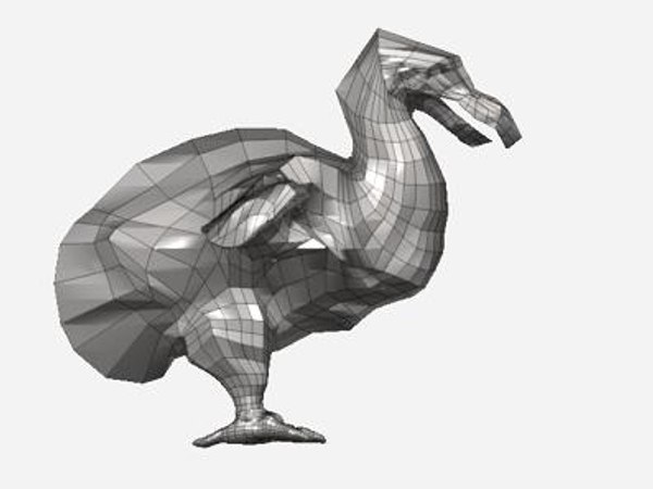 dodo bird 3d model