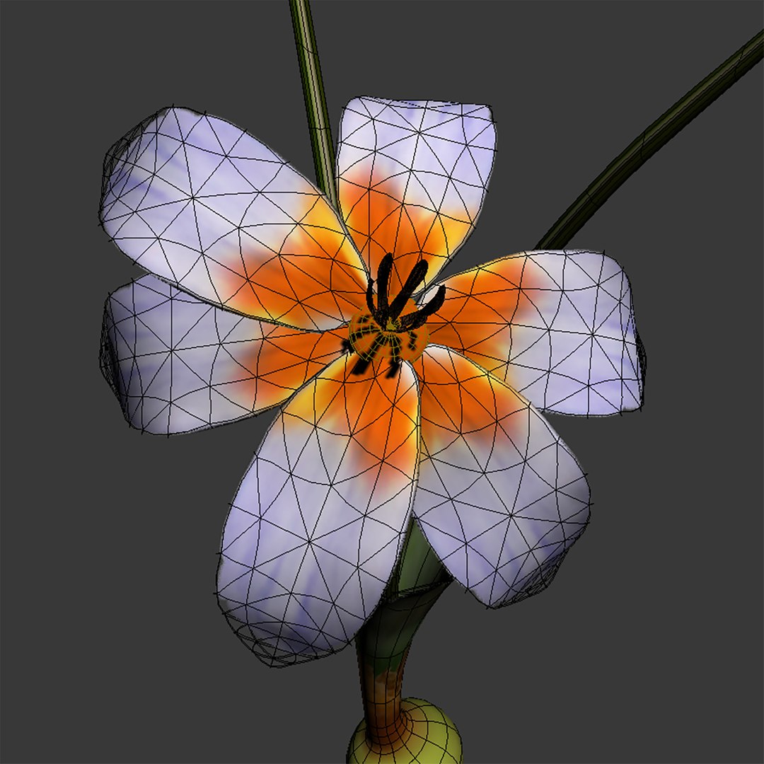 Flowers Open Animation 3D Model - TurboSquid 1586617