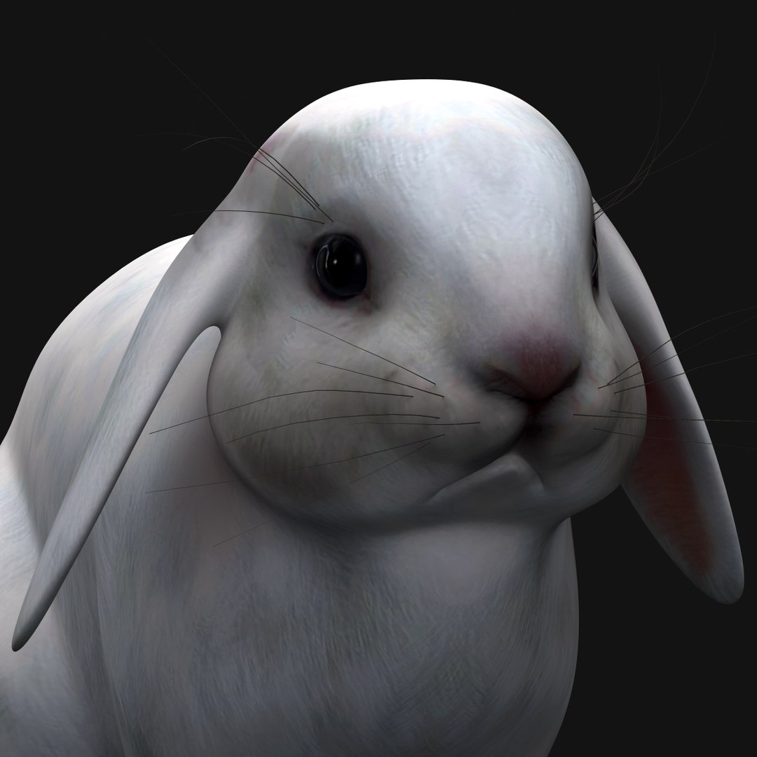 White Rabbit 3d 3ds