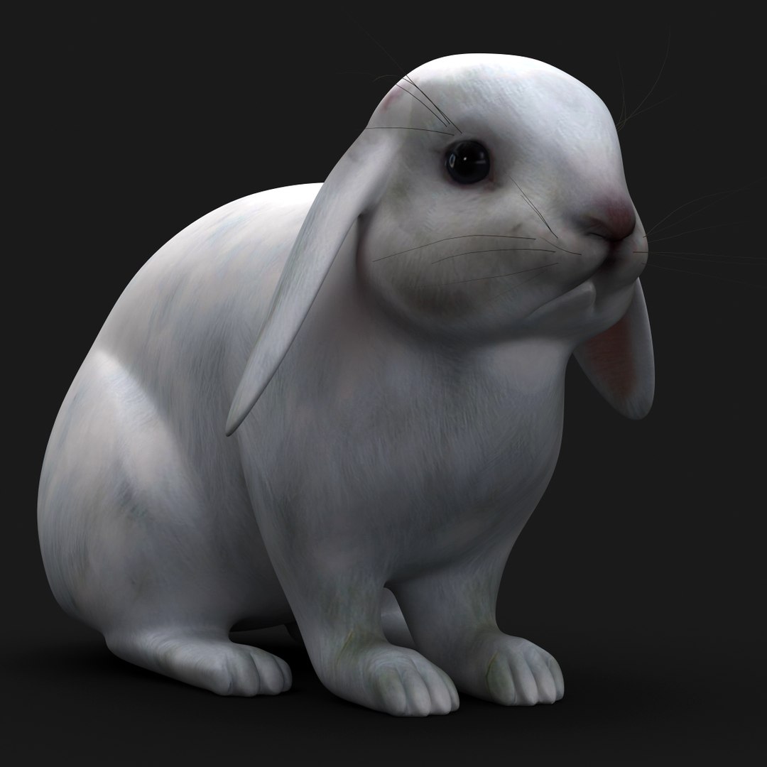 White Rabbit 3d 3ds