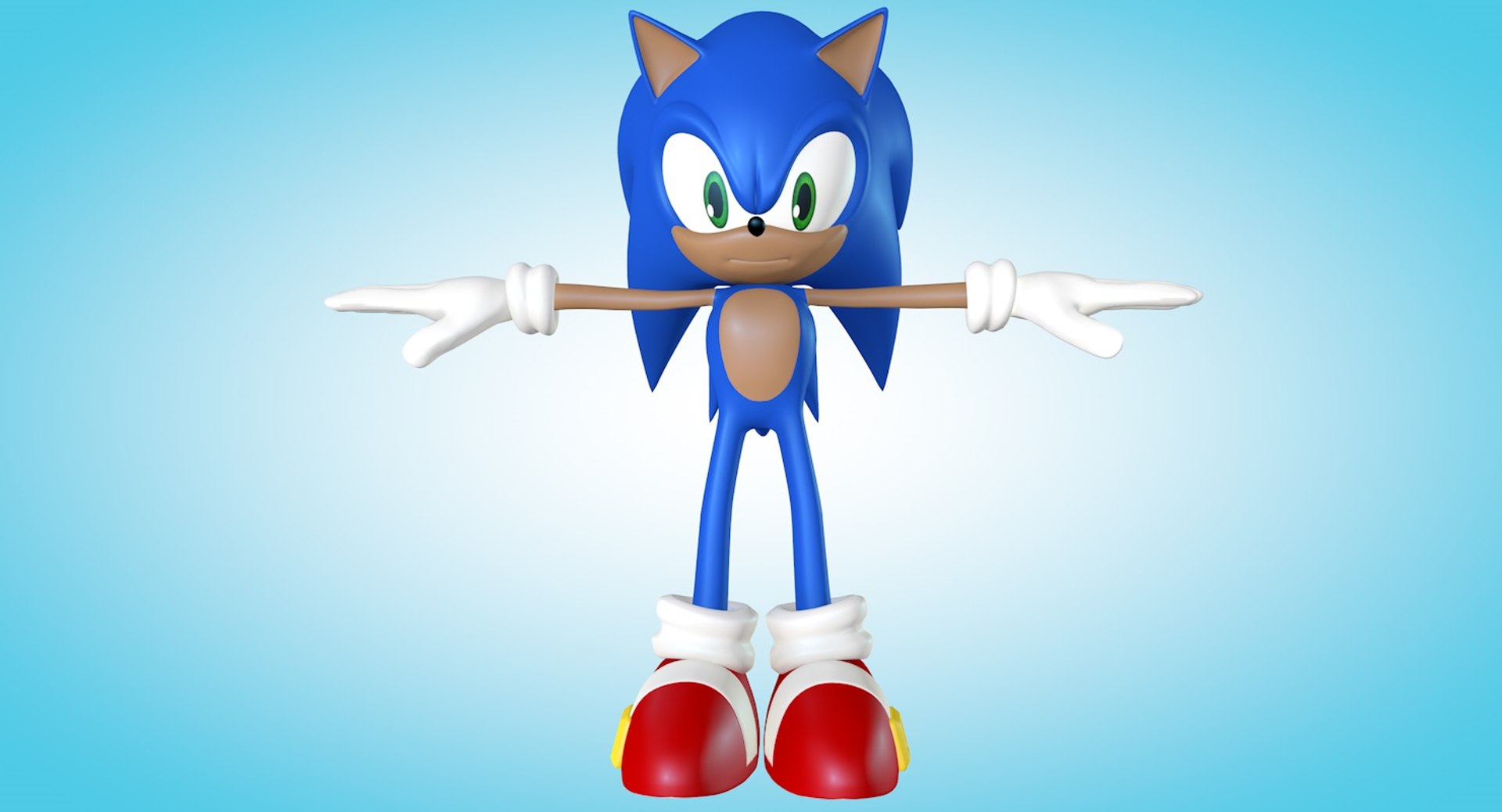 Sonic Rigged Animation 3d Model