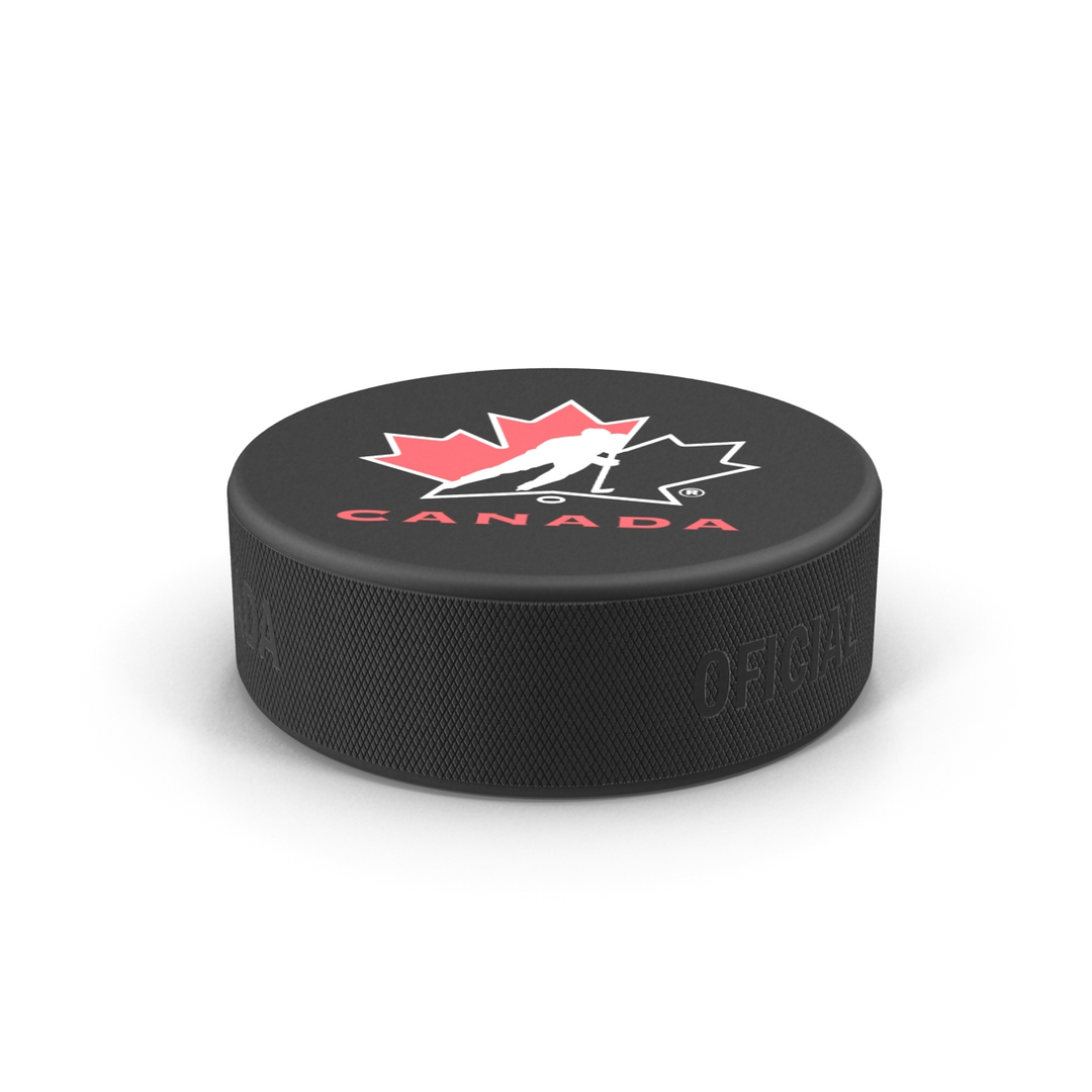 Hockey Pucks Modeled Obj