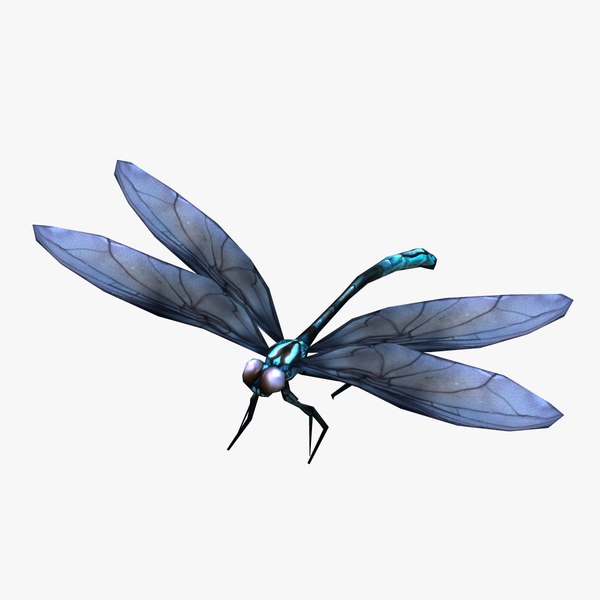 low-poly animated dragonfly 3D 모델 - TurboSquid 2038459