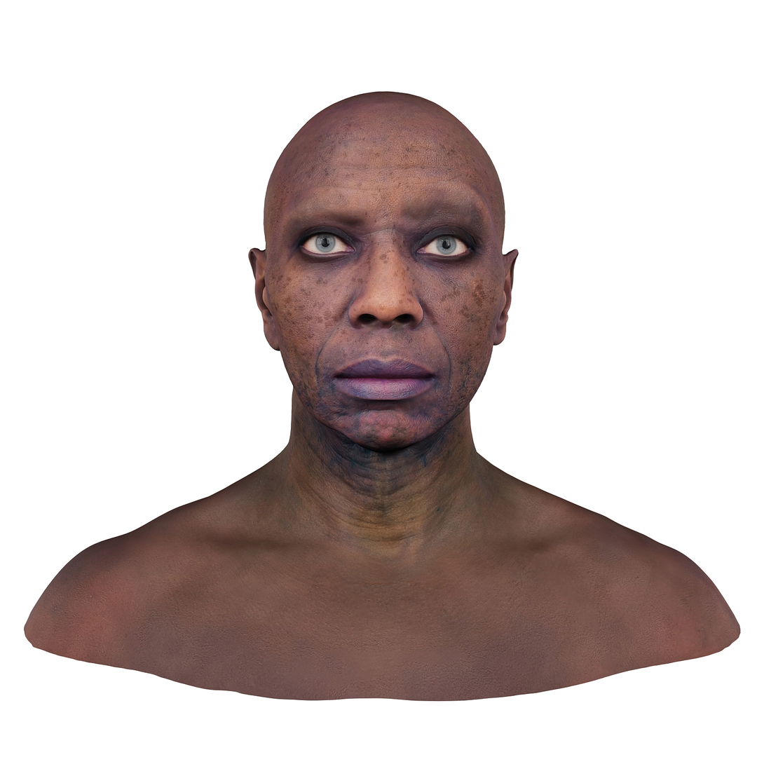 3D Homeless Pack 6 Model - TurboSquid 1892725