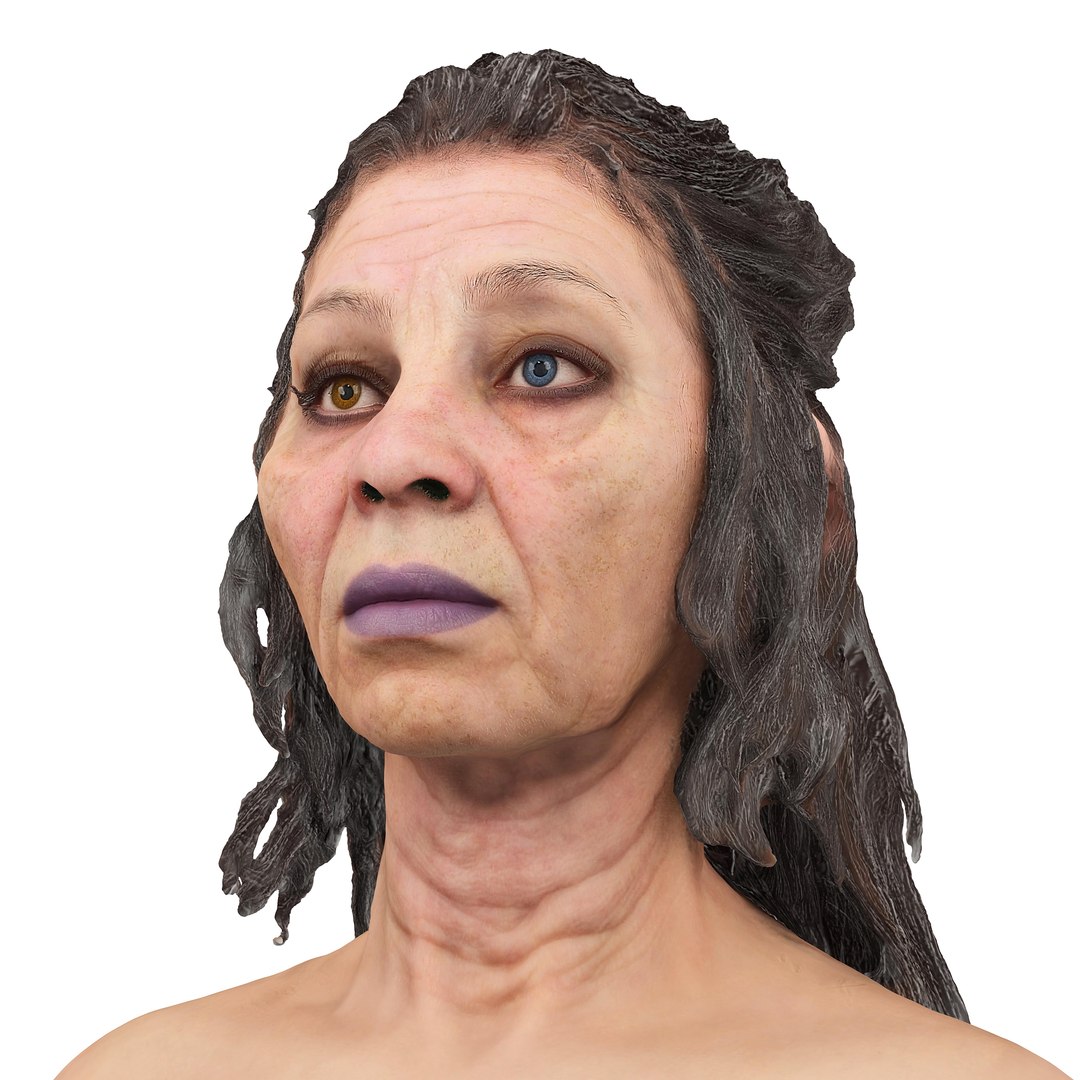 3D Homeless Pack 6 model - TurboSquid 1892725