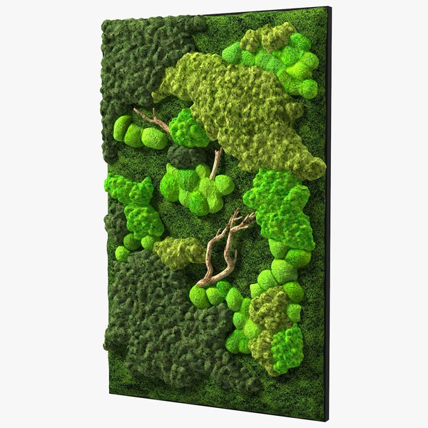 Moss 3D Models for Download | TurboSquid