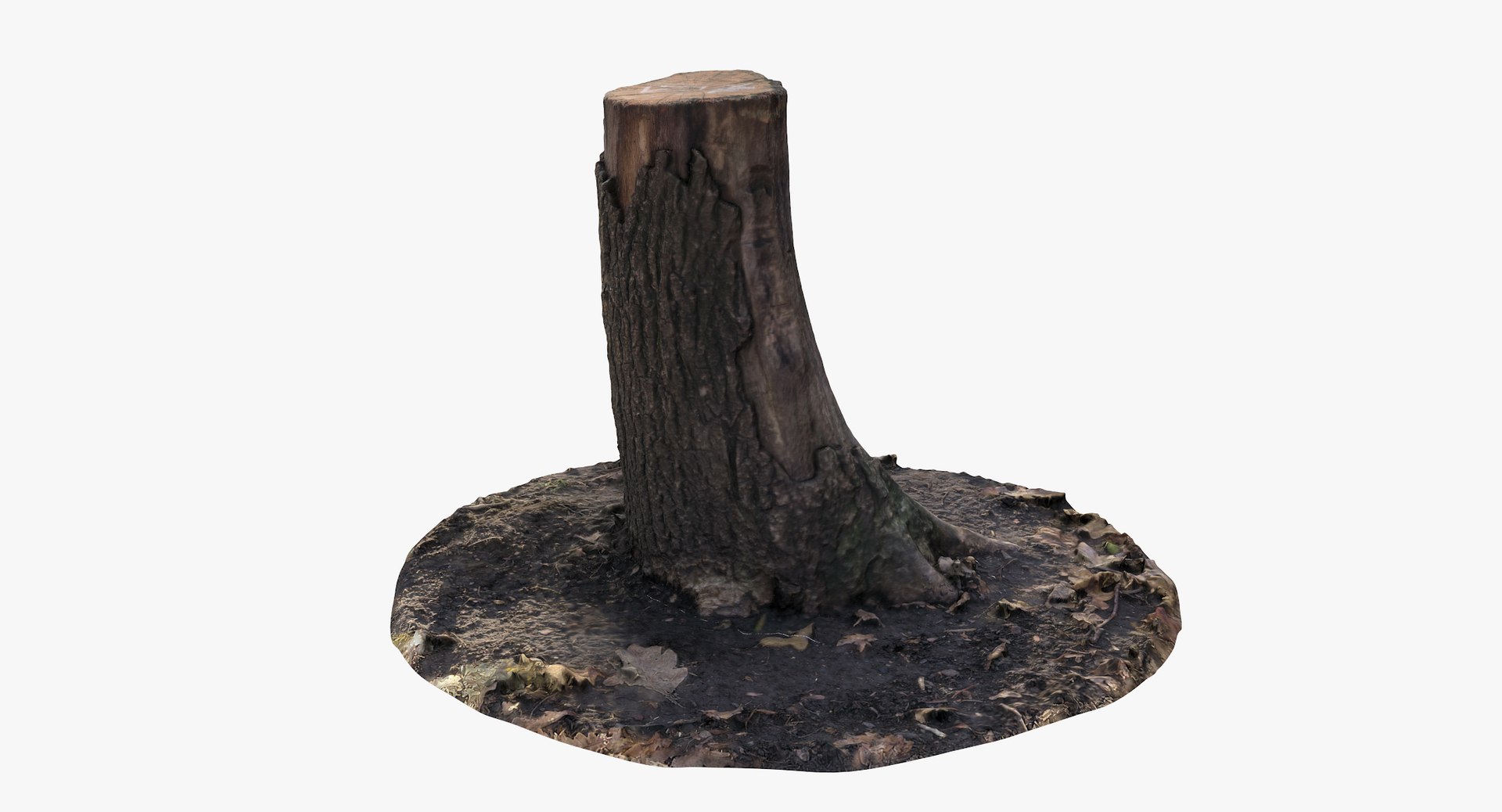 Oak stump 11 3D model - TurboSquid 1246491