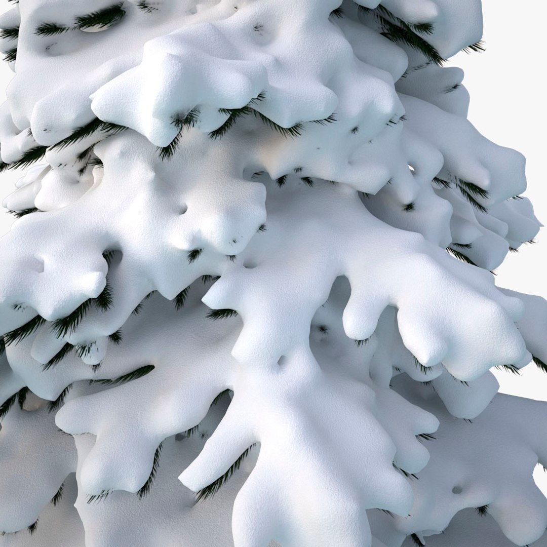 3d Model Snowy Spruce Tree V1