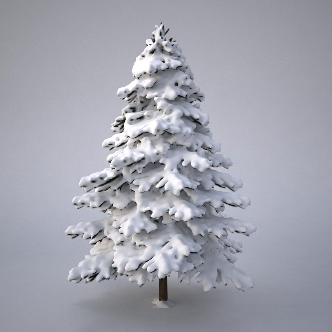 3d Model Snowy Spruce Tree V1