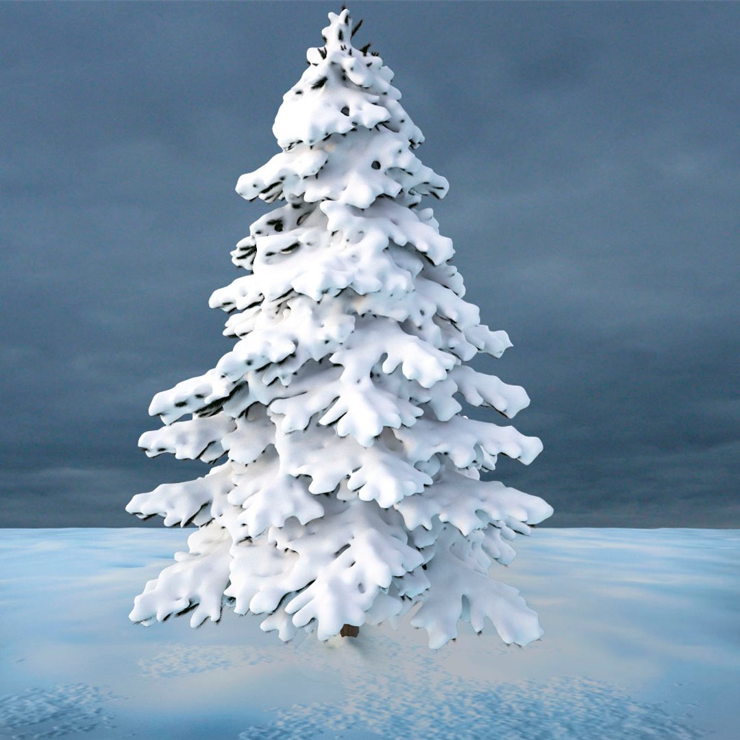 3d Model Snowy Spruce Tree V1
