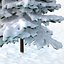 3d Model Snowy Spruce Tree V1