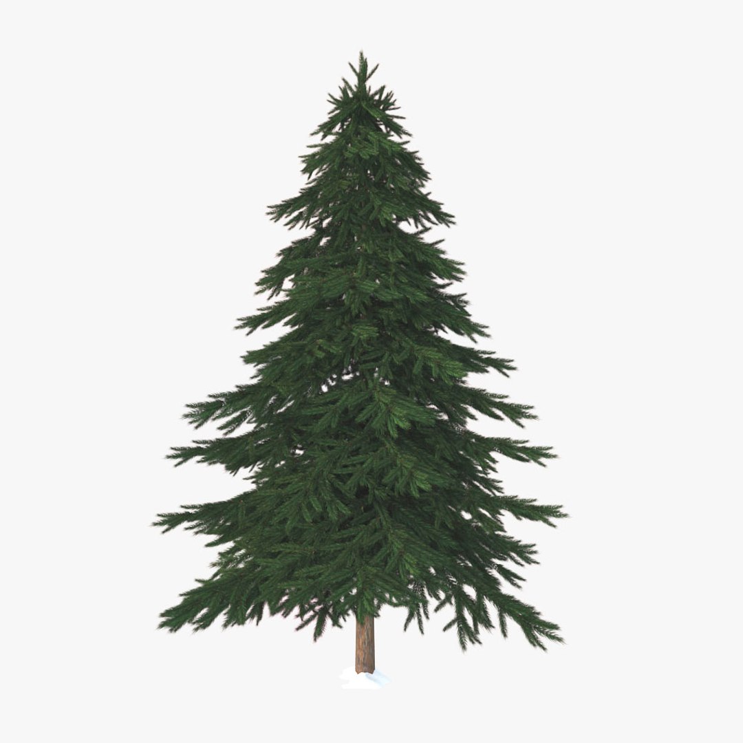 3d Model Snowy Spruce Tree V1