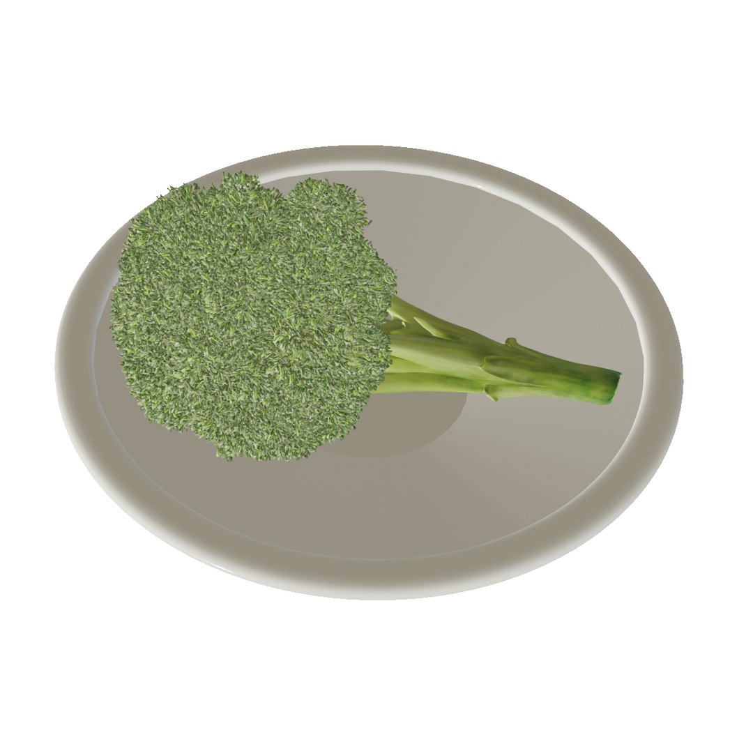 Broccoli on plate model - TurboSquid 1913354