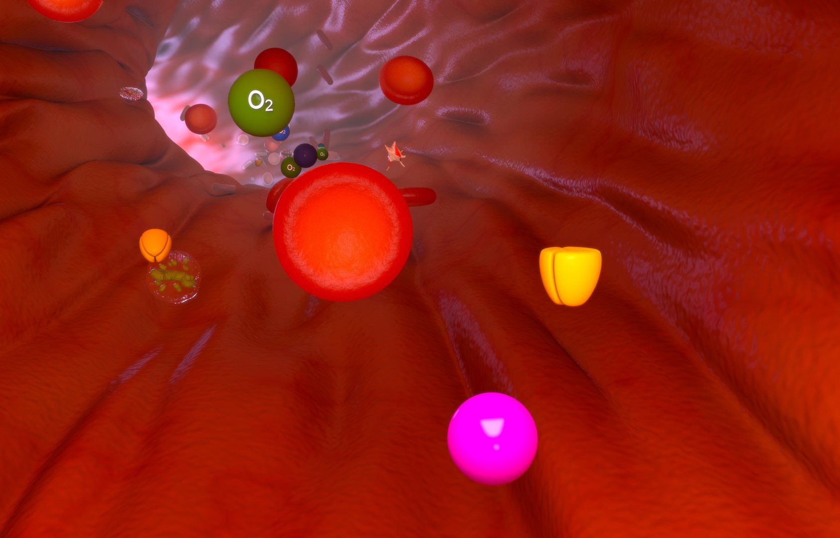 3D Blood Vessels With Blood Elements - TurboSquid 2187546