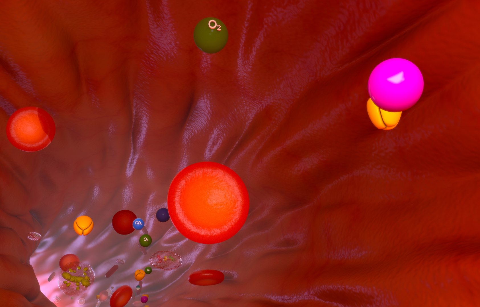 3D Blood Vessels With Blood Elements - TurboSquid 2187546