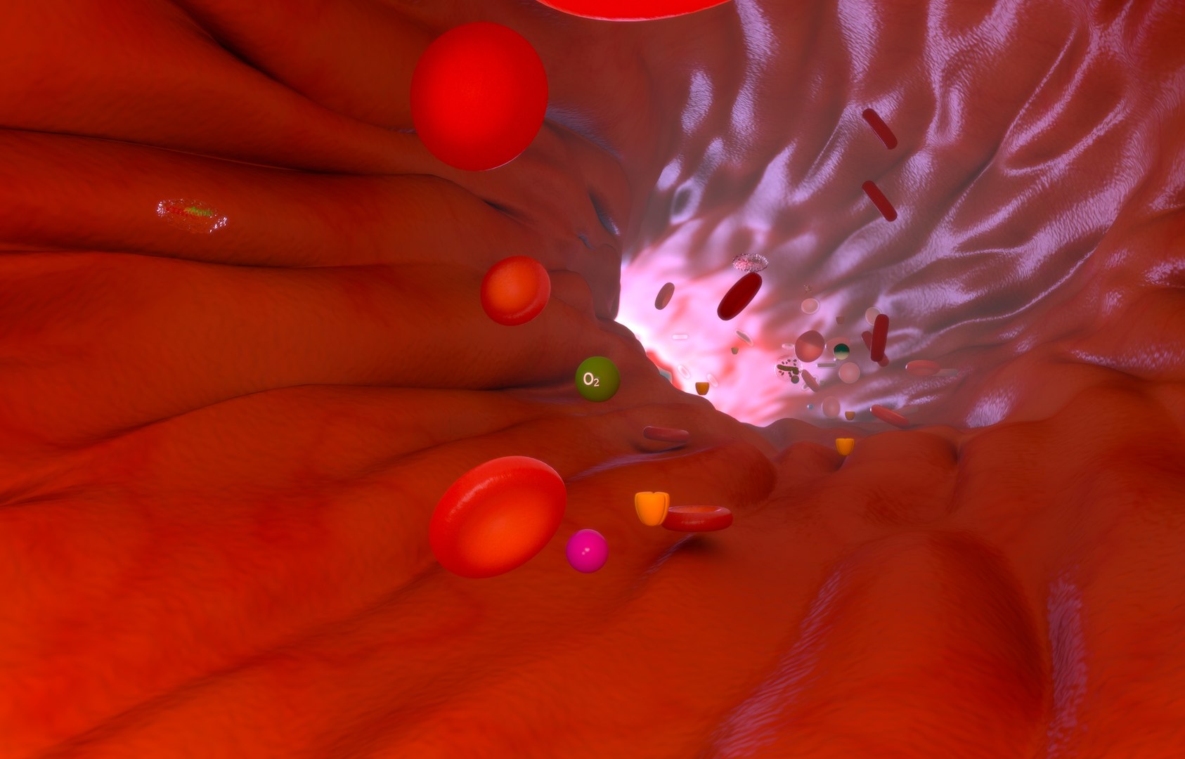 3D Blood Vessels With Blood Elements - TurboSquid 2187546