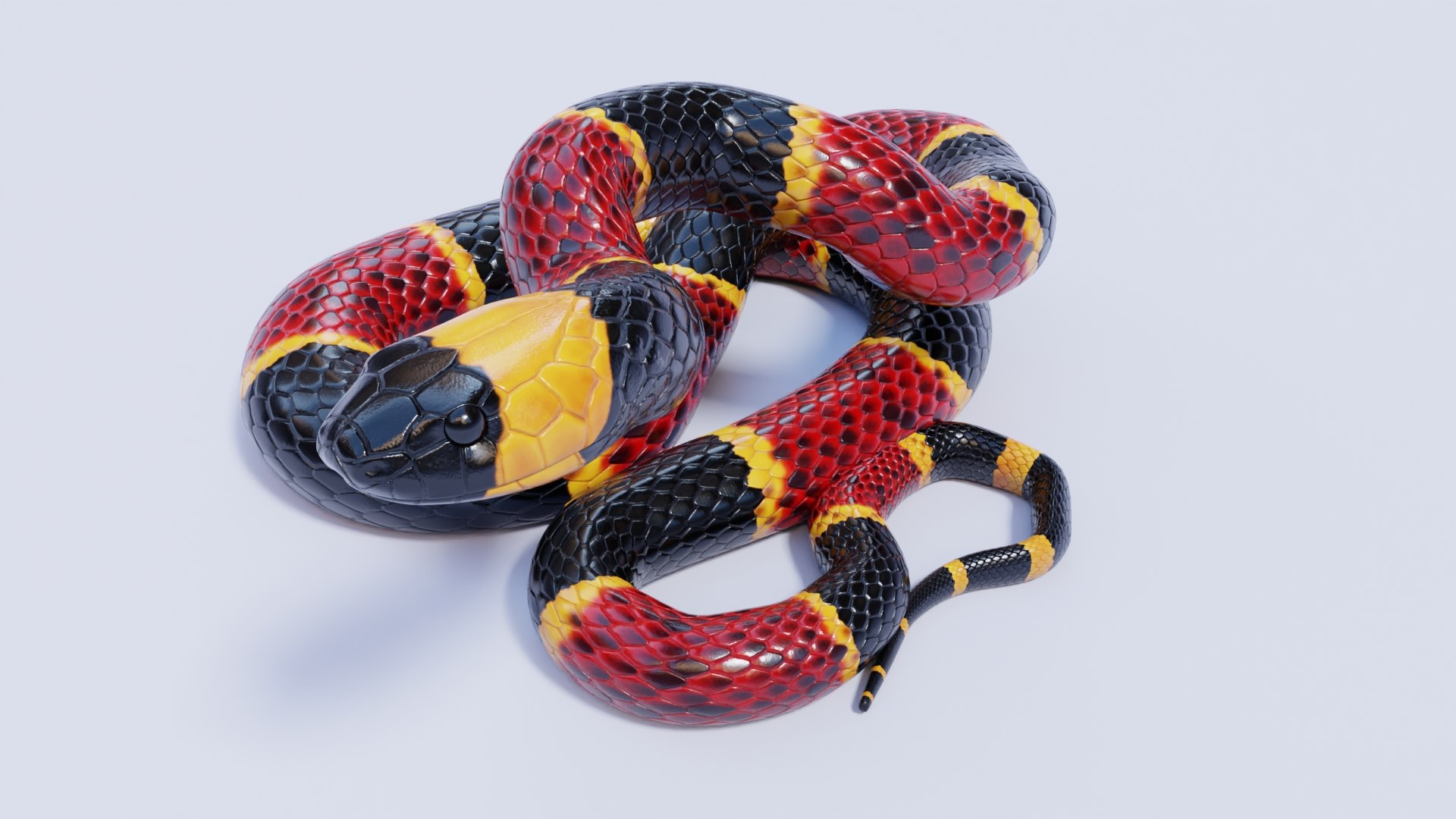 Rigged Eastern Coral Snake 3D model - TurboSquid 1952275