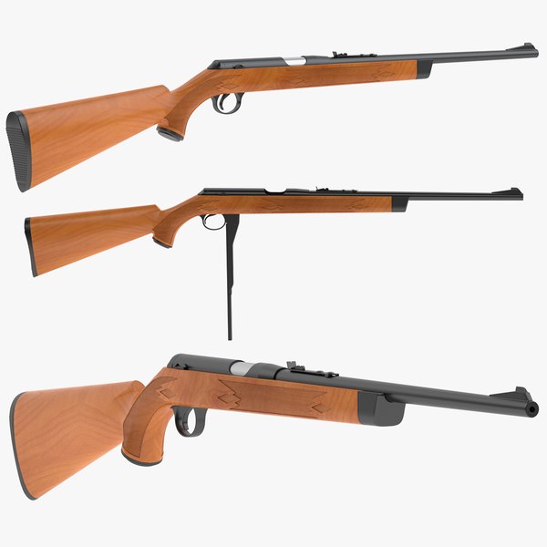 Daisy Air Rifles 3D Models for Download | TurboSquid