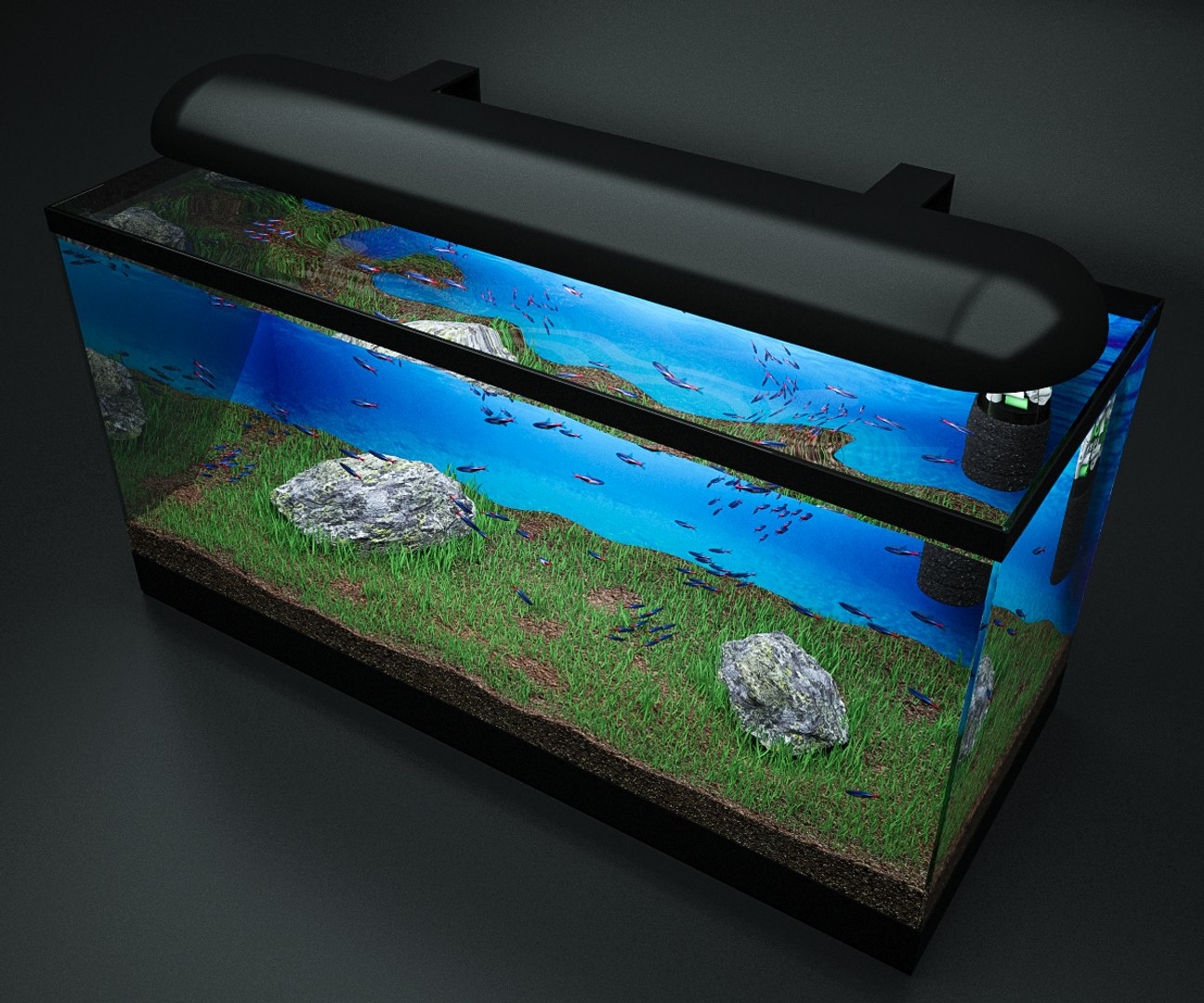 Fish Tank 3ds