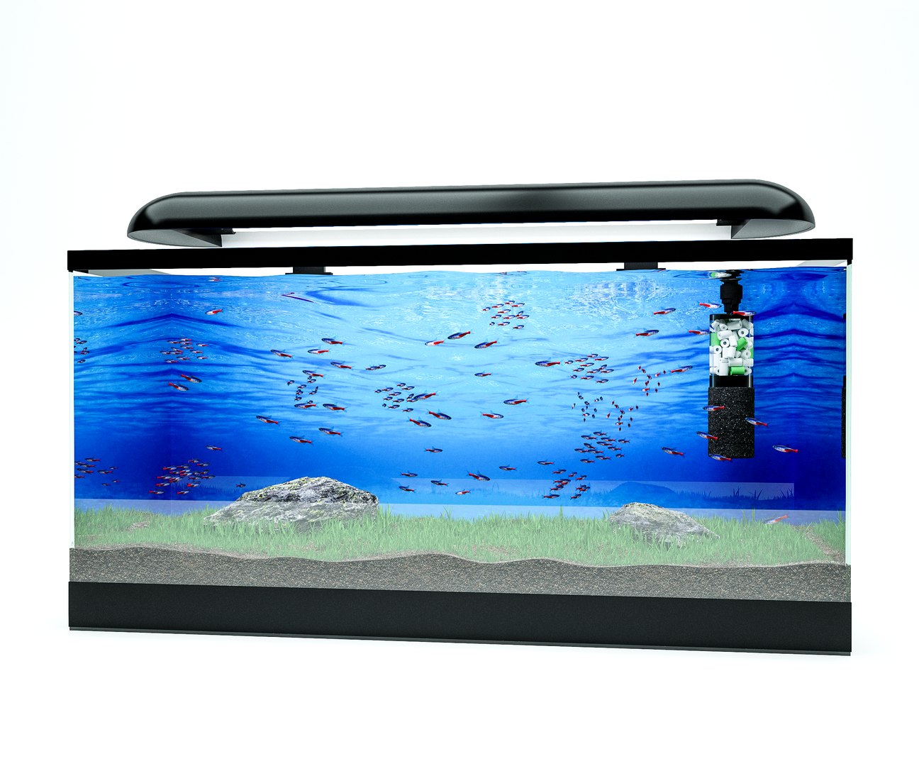 Fish Tank 3ds