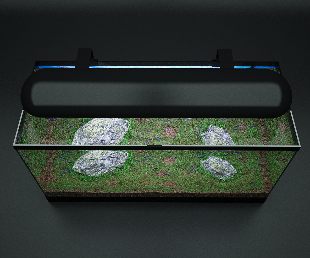 Fish Tank 3ds