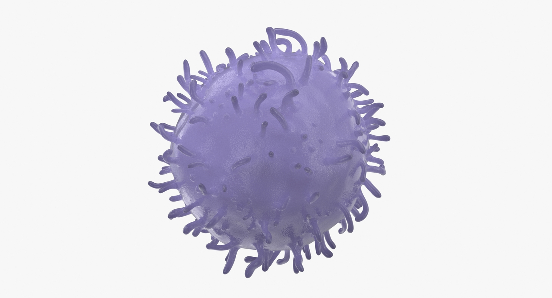 3D Lymphocyte Blood Cell - TurboSquid 1346873