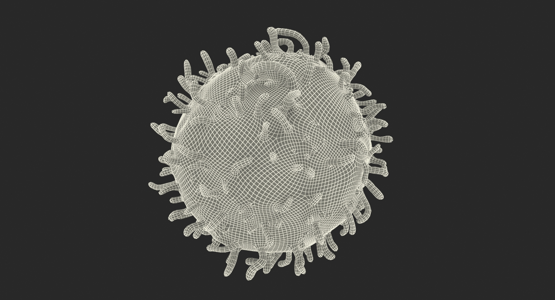 3D Lymphocyte Blood Cell - TurboSquid 1346873