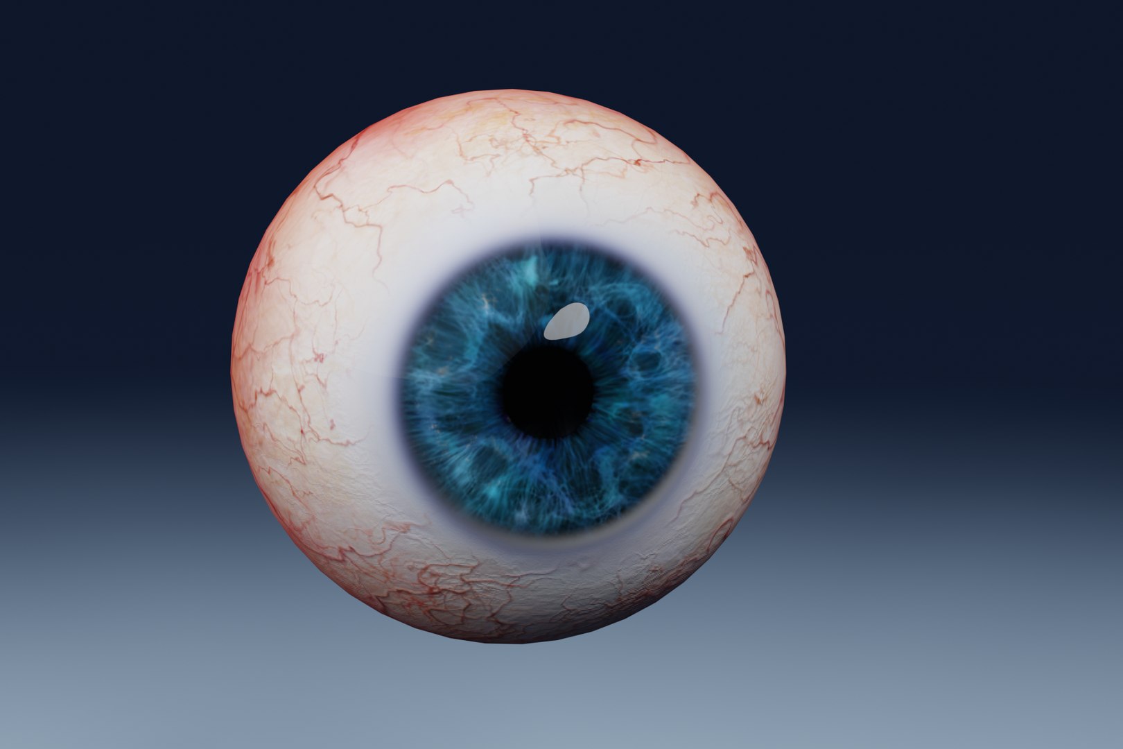 Photorealistic Human Eye 3D Model - TurboSquid 1368368