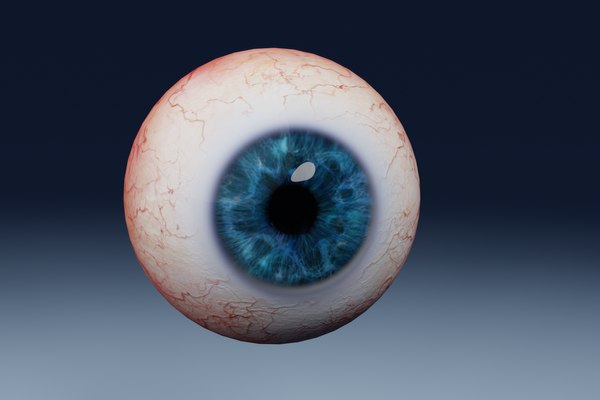 Photorealistic human eye 3D model - TurboSquid 1368368
