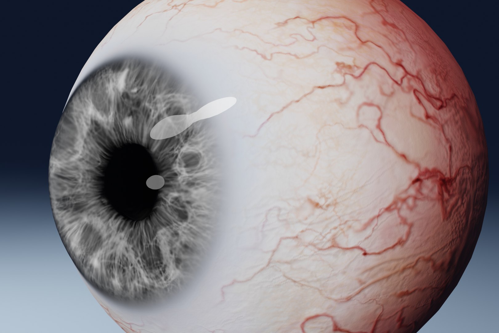 Photorealistic Human Eye 3D Model - TurboSquid 1368368