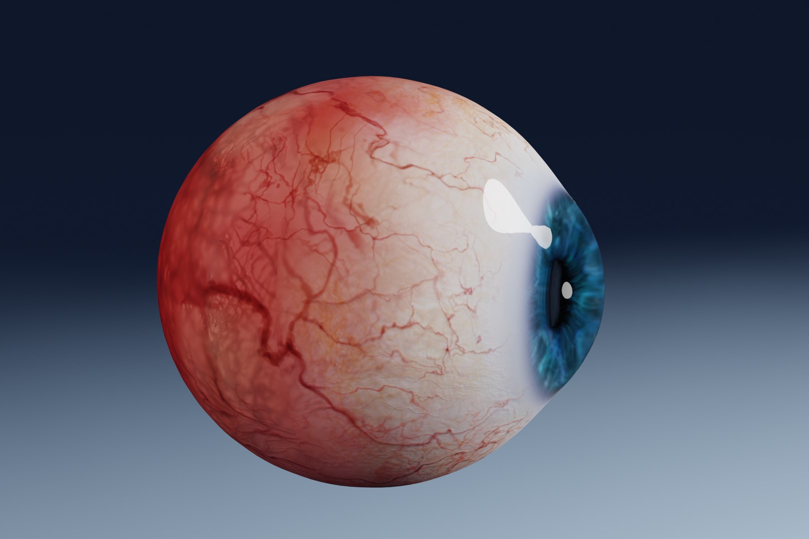 Photorealistic Human Eye 3D Model - TurboSquid 1368368