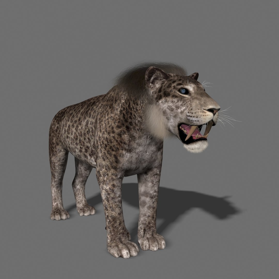 3D Model Female Sabretooth - Animation - TurboSquid 1361962
