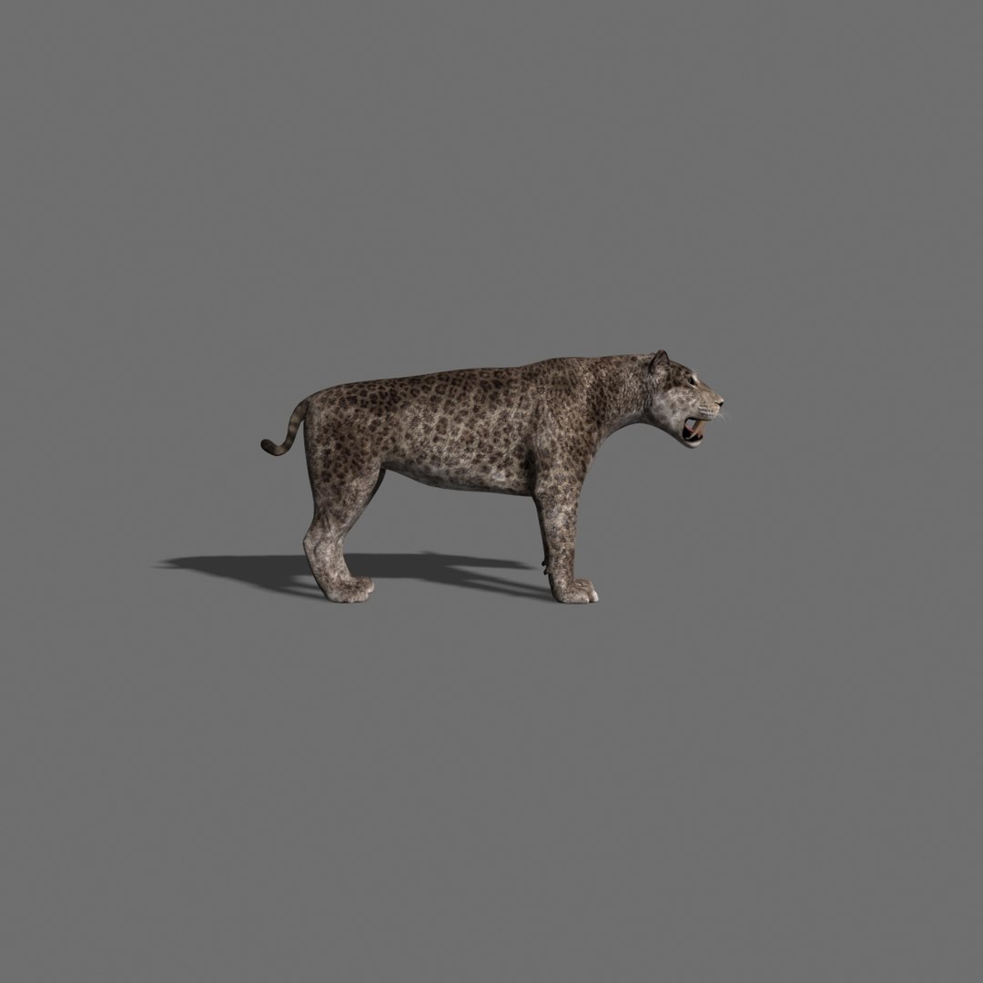 3D Model Female Sabretooth - Animation - TurboSquid 1361962